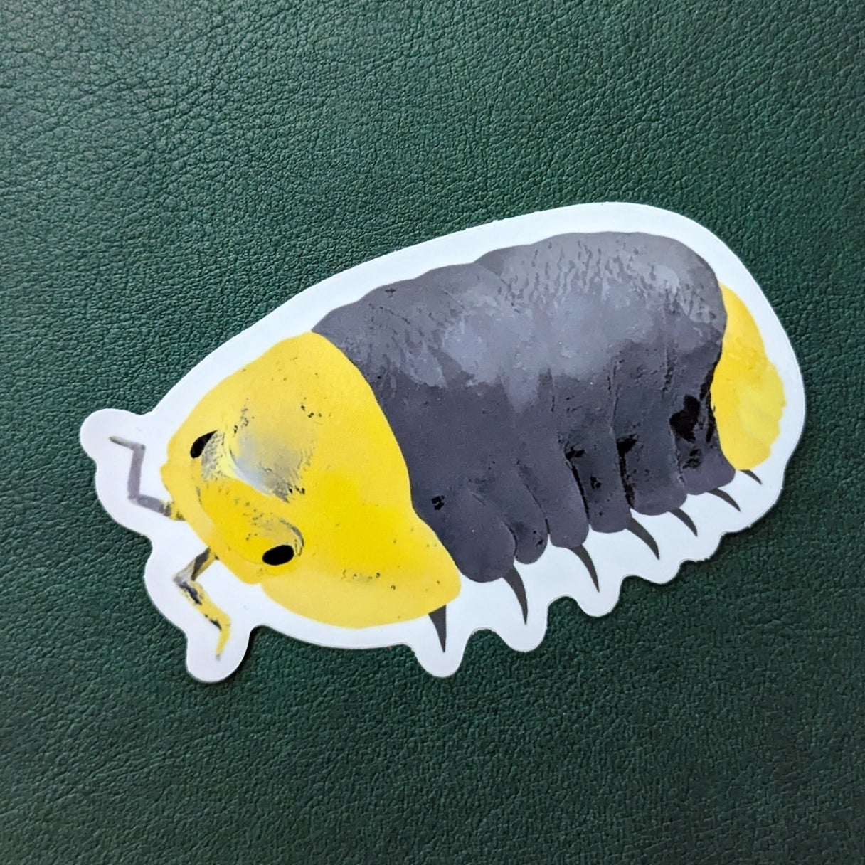 Rubber Ducky Isopod sticker | Artesian Exotics